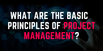 What Are the Basic Principles of Project Management?